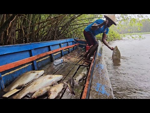 Fishing for big barramundi in the maro river, south Papua