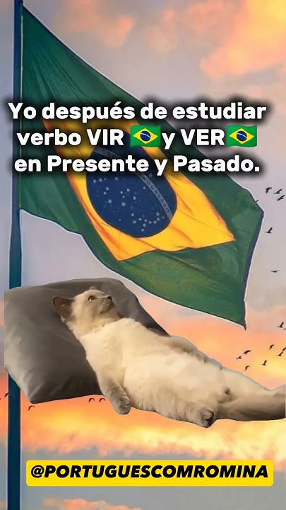Meme de Portugues verbo VER y VIR. #rominapereira #traducion #humor # ...