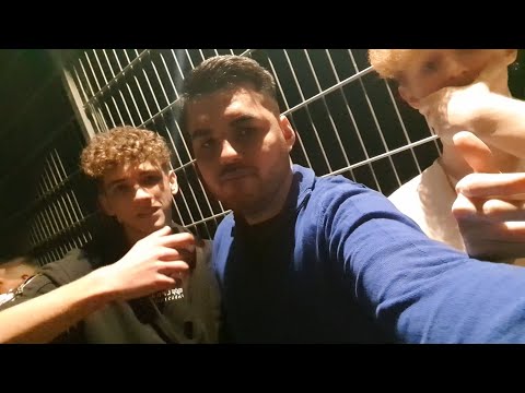 MIKAIL - SO WIE 2PAC (Official Video)