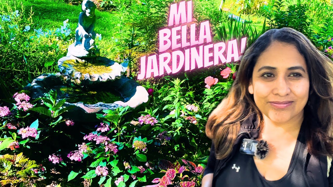 Les muestro mi Bella jardinera , mitad sombra y mitad sol completo , # ...