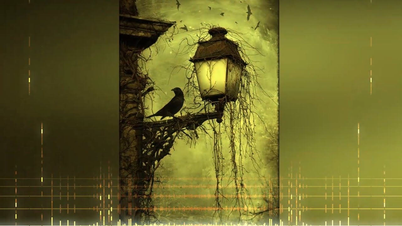 Qarcii KarTan Modga Shemodgoma Original Mix - YouTube