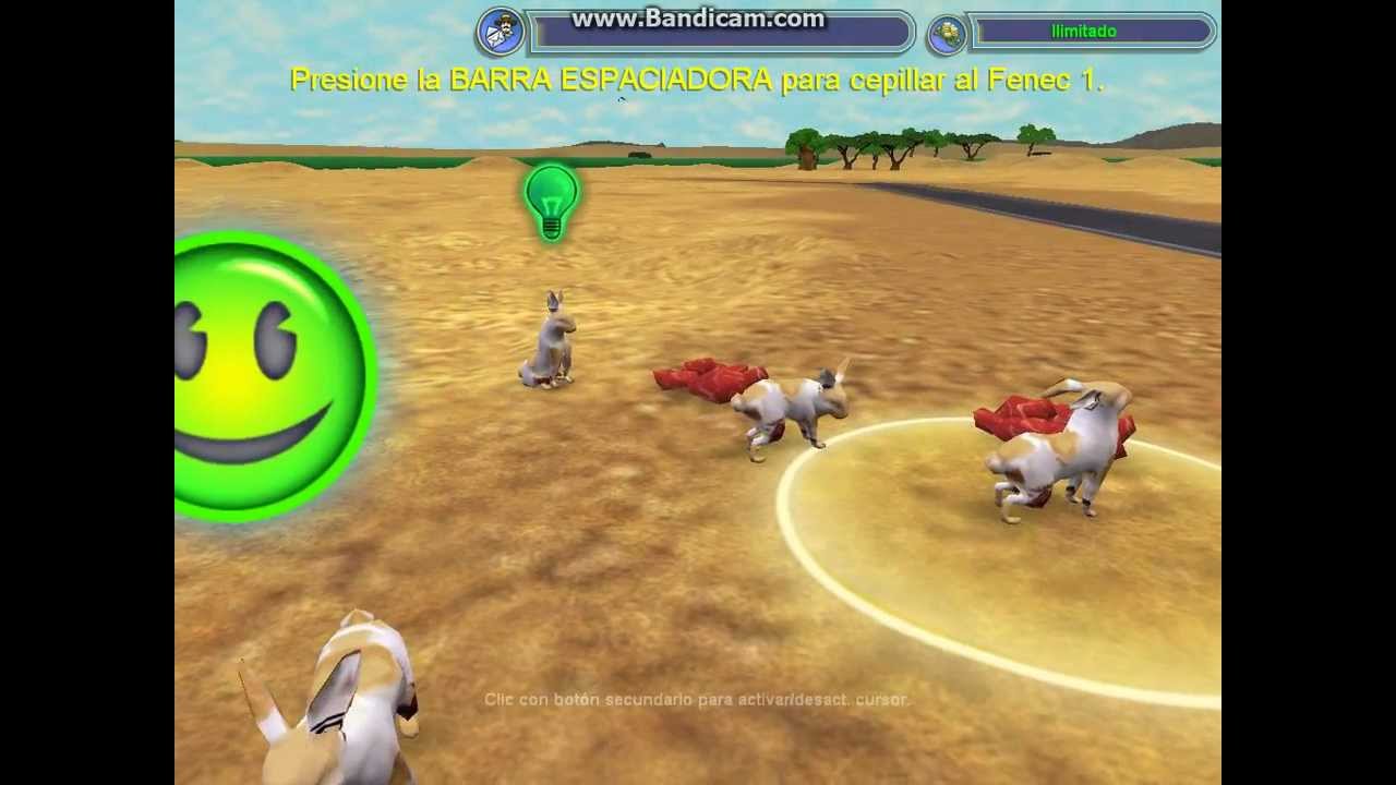 Rabbit animation test version 0.1b - YouTube