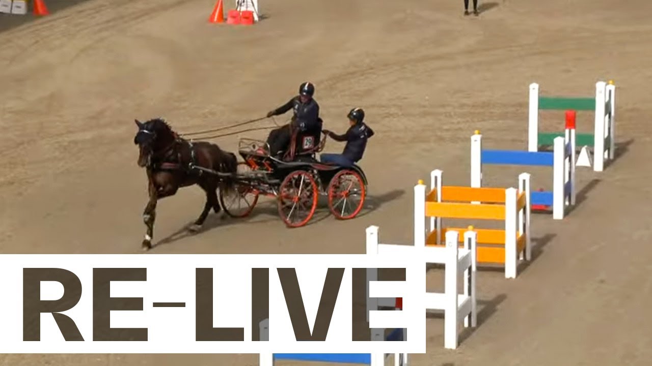 RE-LIVE| Special Combined Marathon 6 year old | FEI Driving World ...