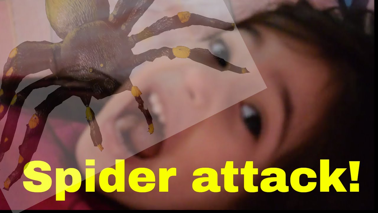 Are you afraid of Spiders? Nightmare Bug Attacks baby twin girls while sleeping! Battle of the ...