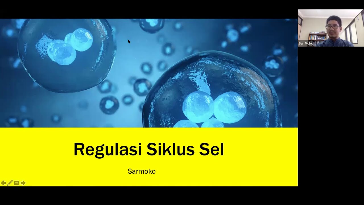 Regulasi Siklus Sel (Karsinogenesis) - YouTube