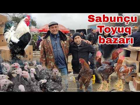 Sabunçu Toyuq bazarı. 12.12.2021 #sabuncutoyuqbazari #sabuncuqusbazari #mubarizemintv