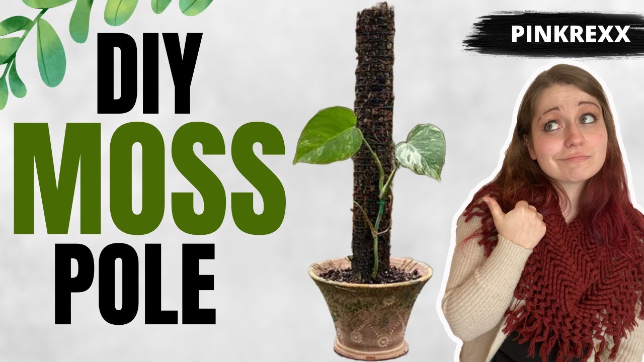 SIMPLE DIY MOSS POLE TUTORIAL: Easy plant DIY project for larger leaves ...