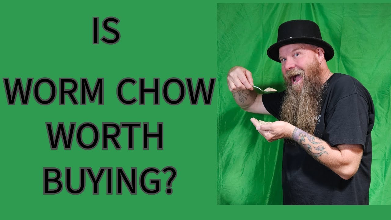 WORM CHOW, TO BUY OR NOT TO BUY - YouTube