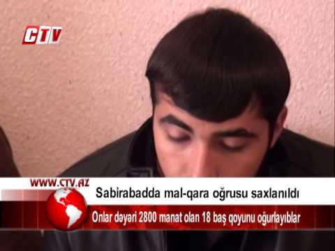 Sabirabadda mal-qara oğruları saxlanıldı