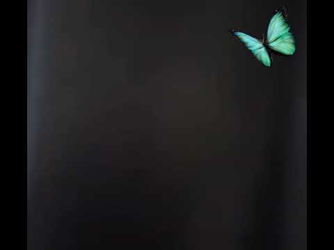 🦋🌷Whatsapp ucun maraqli statuslar,sevgiye aid video,Sounds App Status ucun qisa videolar 2022🍃