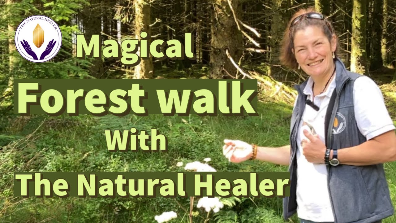 Magical forest walk with The Natural Healer - YouTube