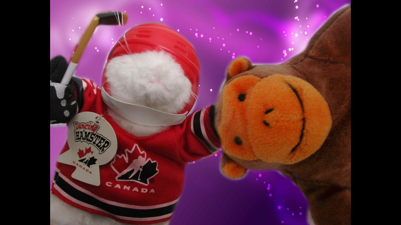 Dancing Hamster - Canada Hockey Hamster - O'Canada - YouTube