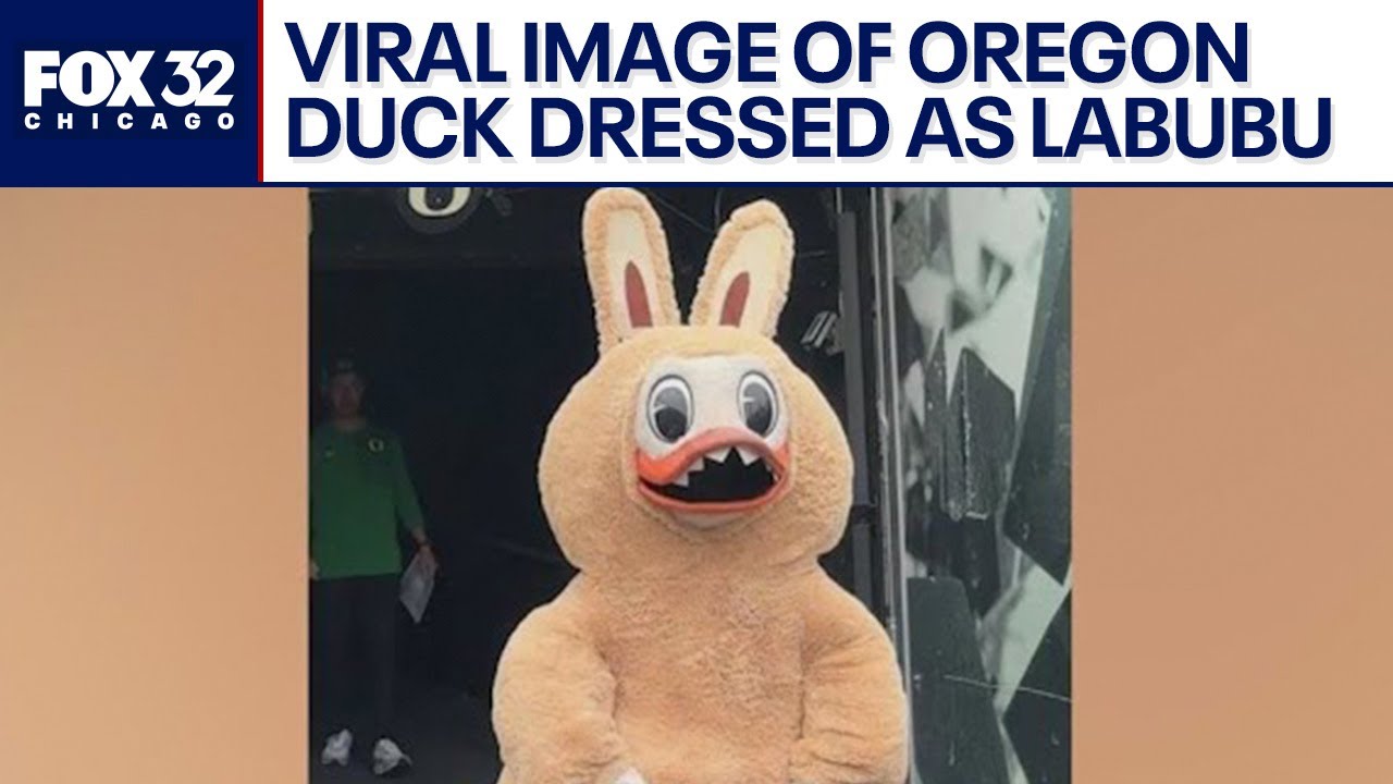 Oregon Duck goes viral dressing as Labubu at football game | ChicagoNOW ...