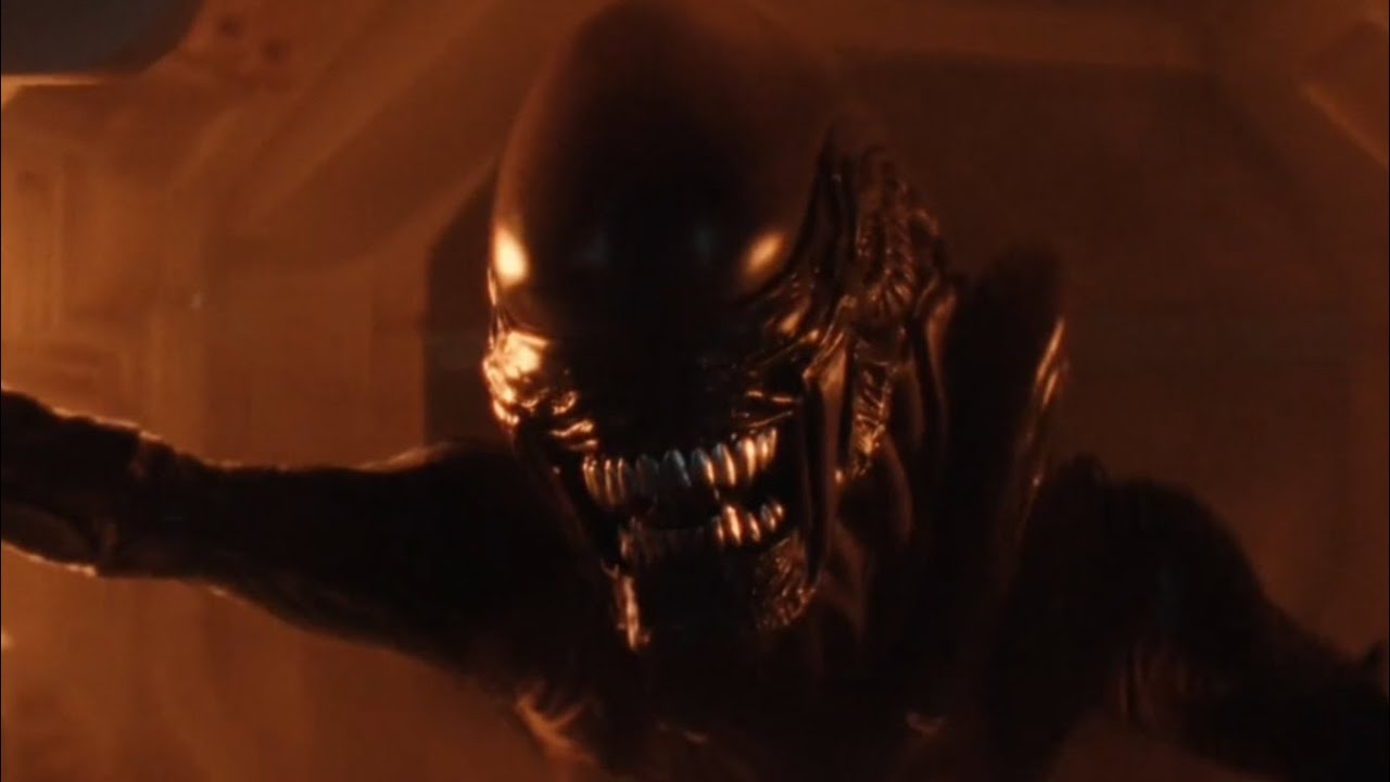 Alien earth: xenomorph chase scene - YouTube