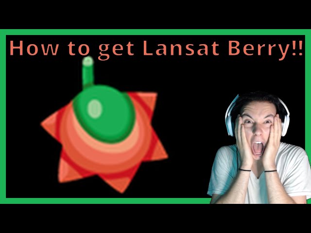 Lansat Berry Pokemon Scarlet And Violet | Berry Guide How To Get,