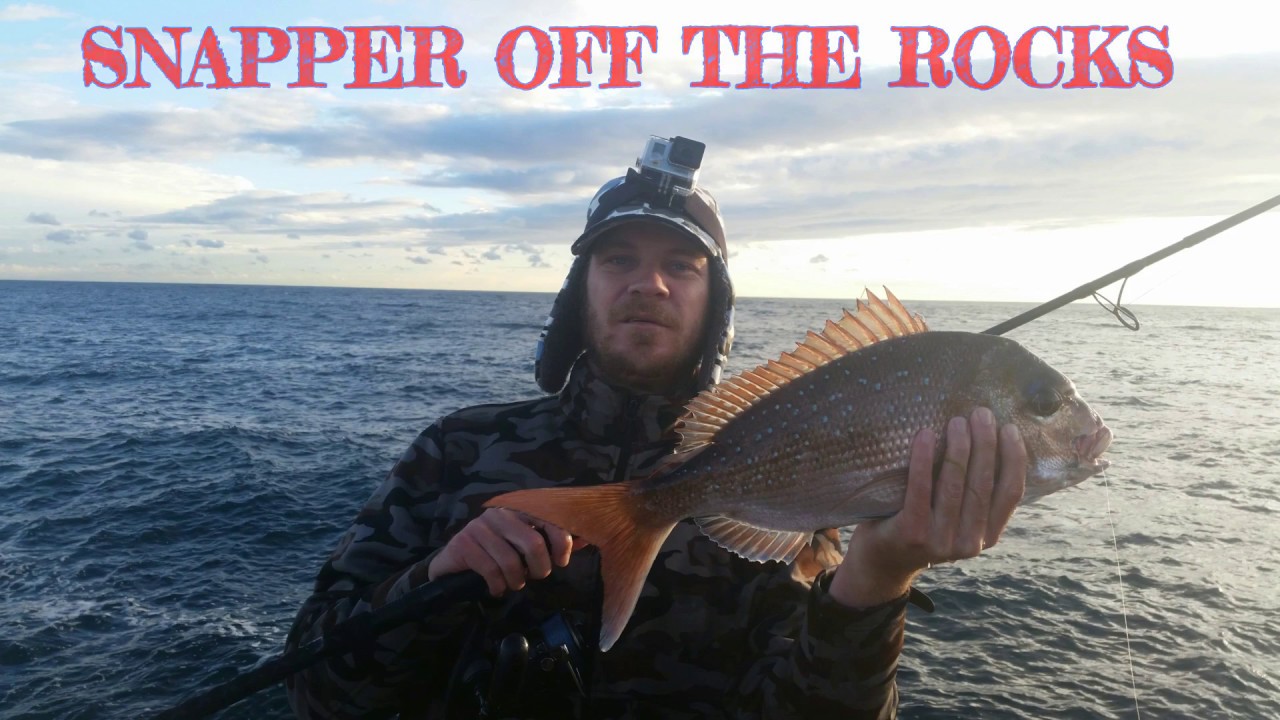 Snapper Off The Rocks - YouTube