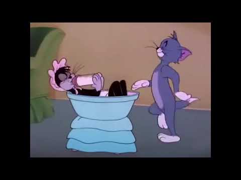 Tom and Jerry - Baby butch