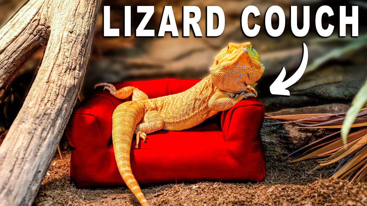 Testing The Strangest Reptile Products I Can Find - YouTube