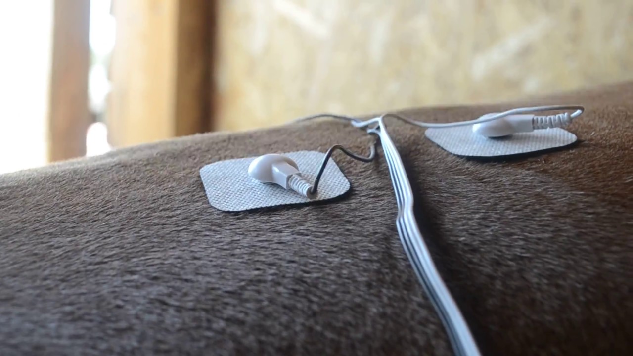 TENS on the horse's back - YouTube