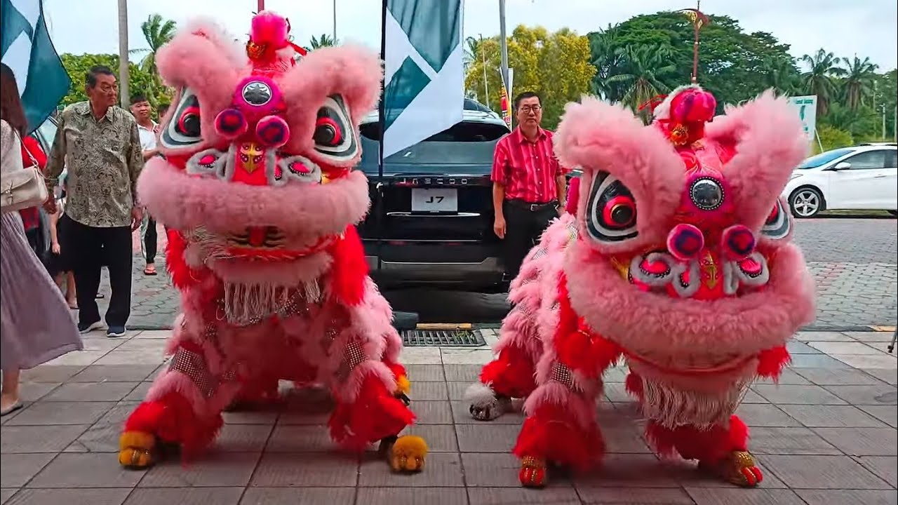 Traditional Pink Lion Dance visit new car launch - YouTube