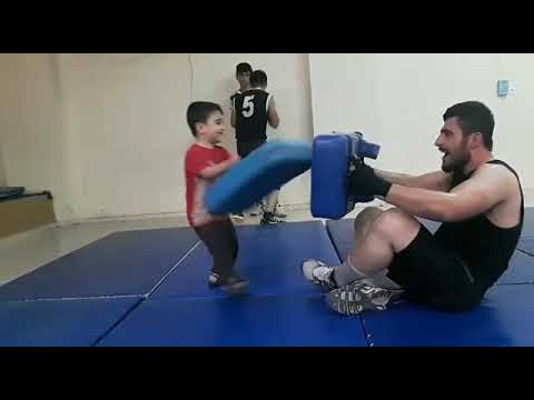 Cizreli küçük boksör