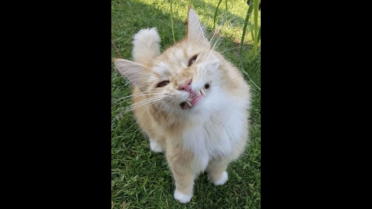 OPEN MABAR FREE BANTU BANTU YG BELUM GLORY DAN IMO #mobilelegends 💦 - YouTube