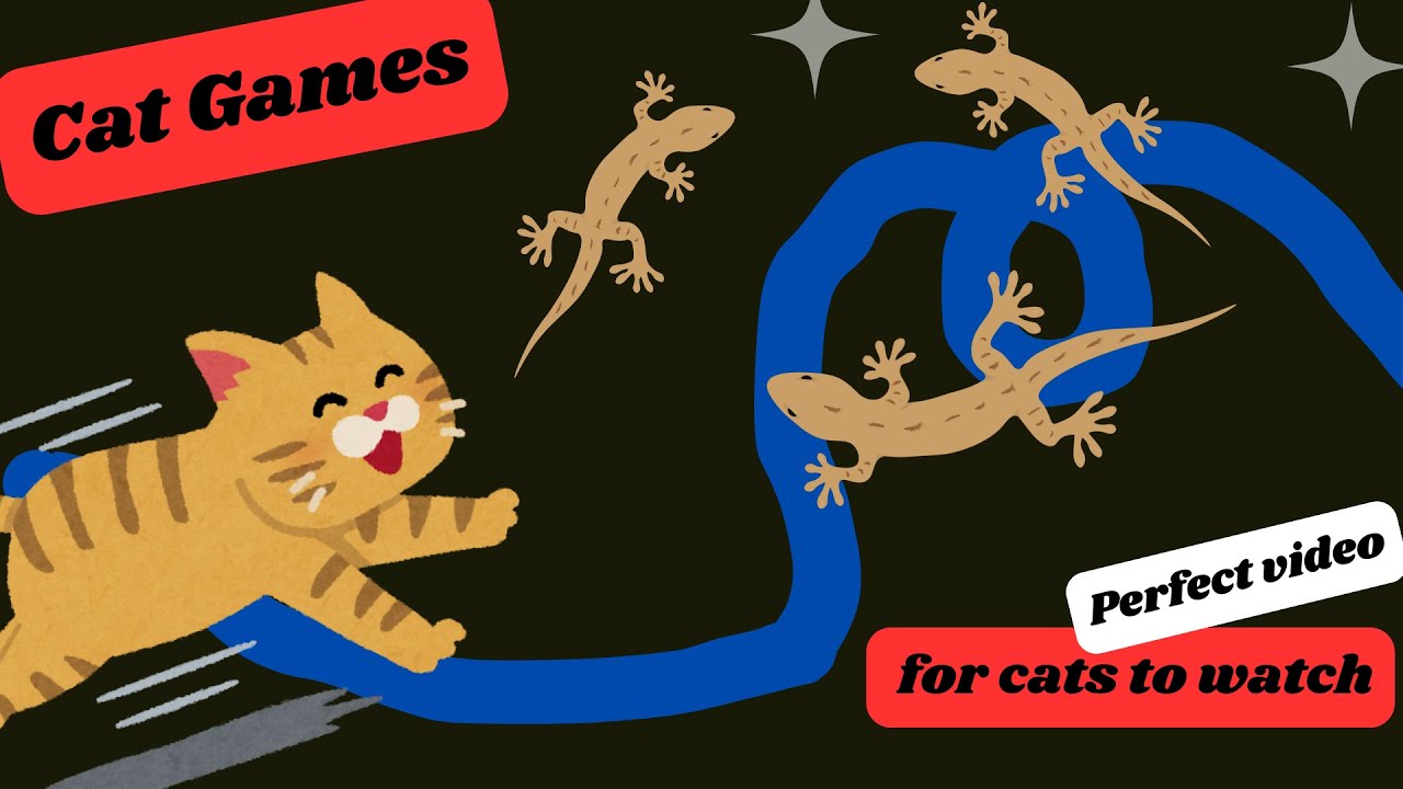 CAT GAMES: CATCHING LIZARD HIDE AND SEEK! 🙀 - (Videos for cats to watch ...