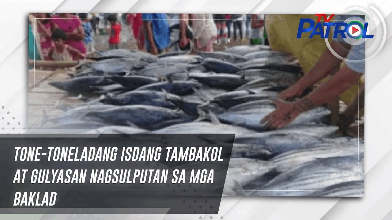 Tone-toneladang isdang tambakol at gulyasan nagsulputan sa mga baklad ...