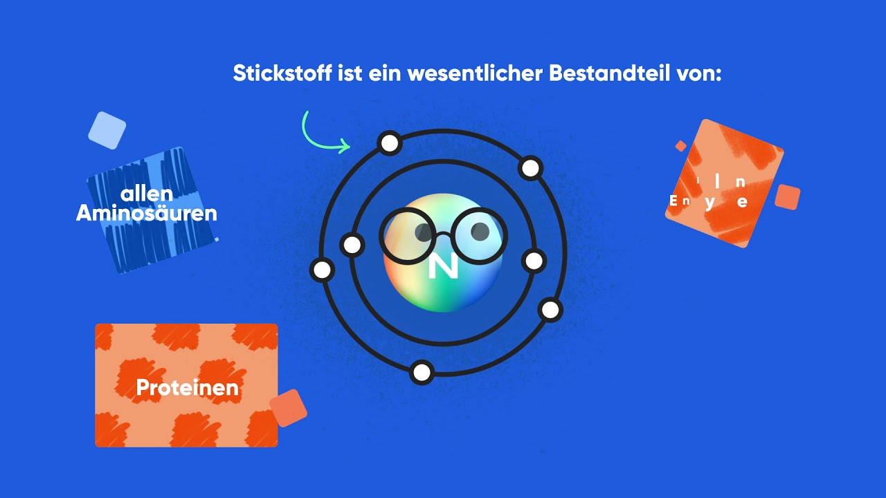 Welche Bedeutung hat STICKSTOFF? - YouTube
