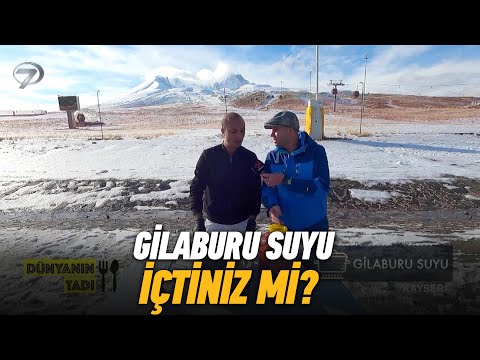 Kayseri'nin Özgün Meyvesi Gilaburunun Faydaları | Dünyanın Tadı Kayseri