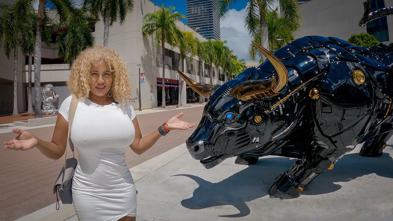 Mango Maddy and the Miami Bull - YouTube