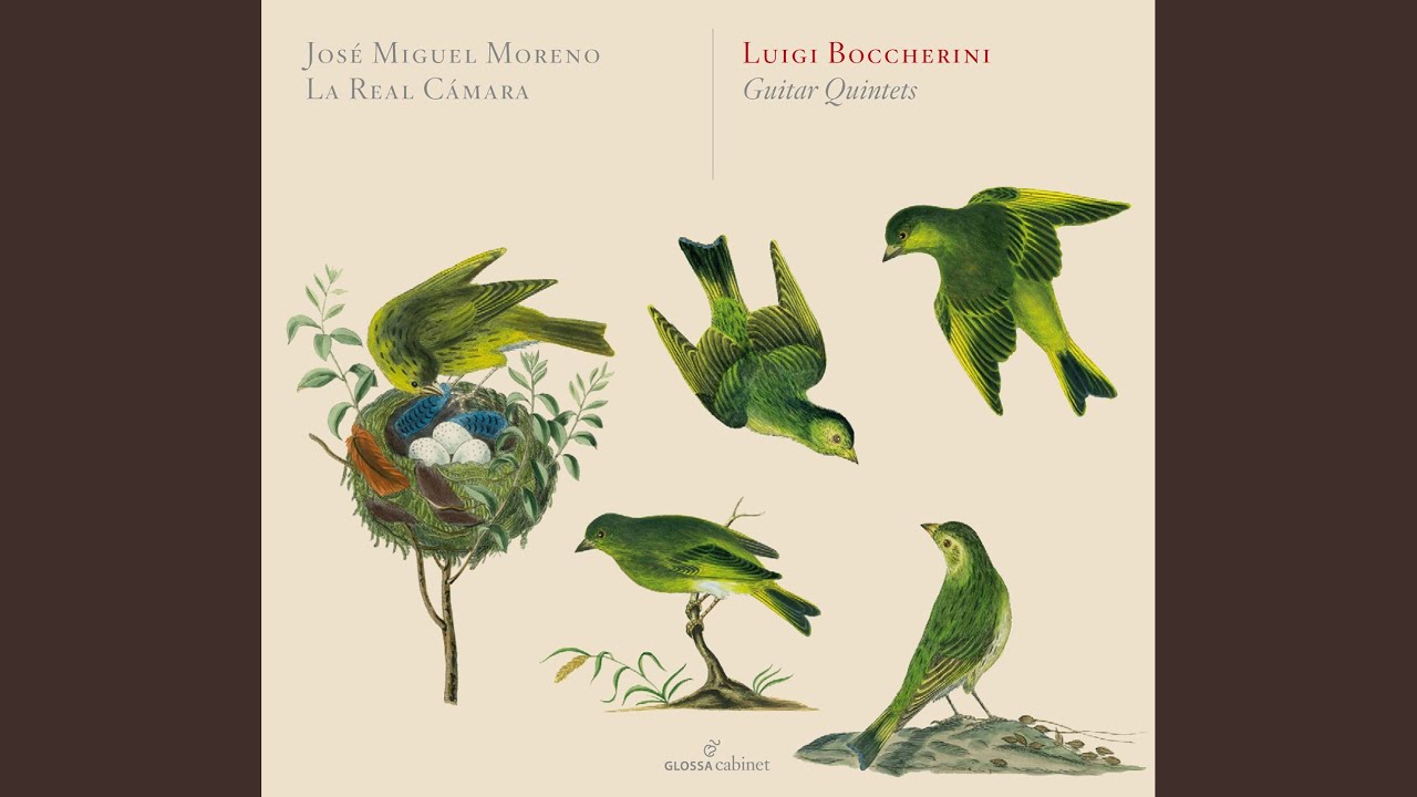 Guitar Quintet No. 4 in D Major, G. 448: II. Allegro maestoso - YouTube