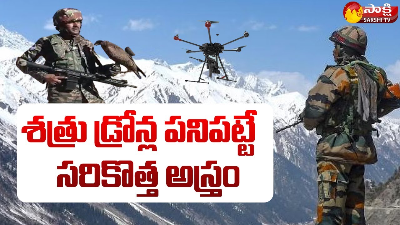 Indian Army New Weapon Against Enemy Drone | Eagles are Being Trained ...
