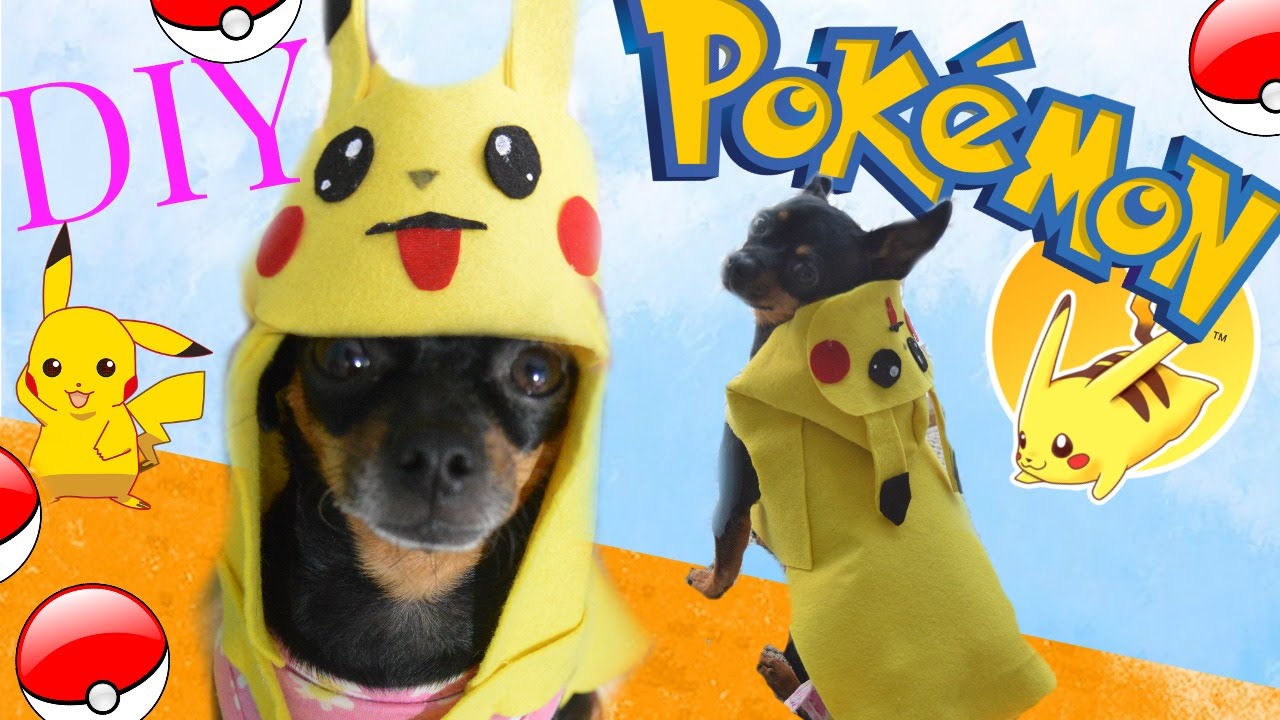 how to make a costume for your dog-POKEMON GO - YouTube