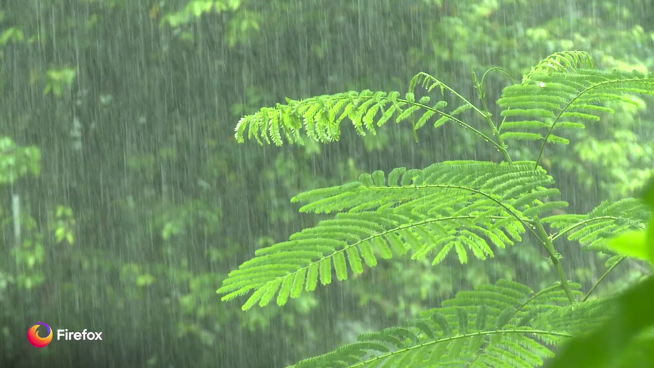 Satisfying rain storm from Firefox - YouTube