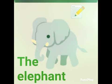 Ellie the elephant rhymes for junior kg kids - YouTube