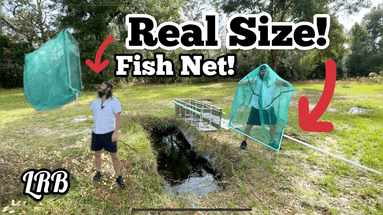 Built a BIG FISH Net! for my Barbs - YouTube