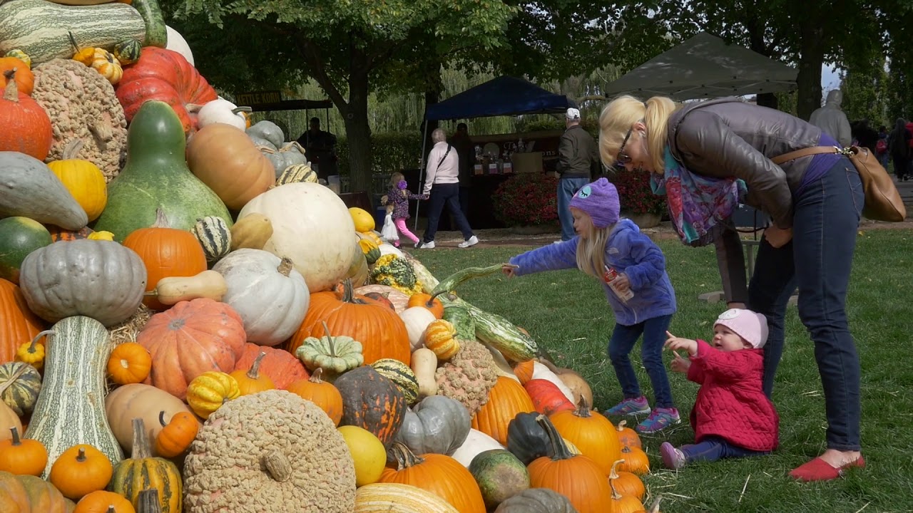 Fall at the Chicago Botanic Garden - YouTube