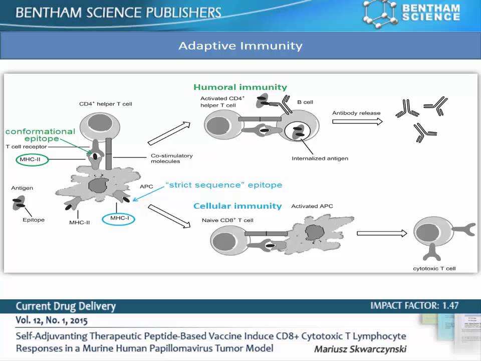 Self-Adjuvanting Therapeutic Peptide-Based Vaccine - YouTube
