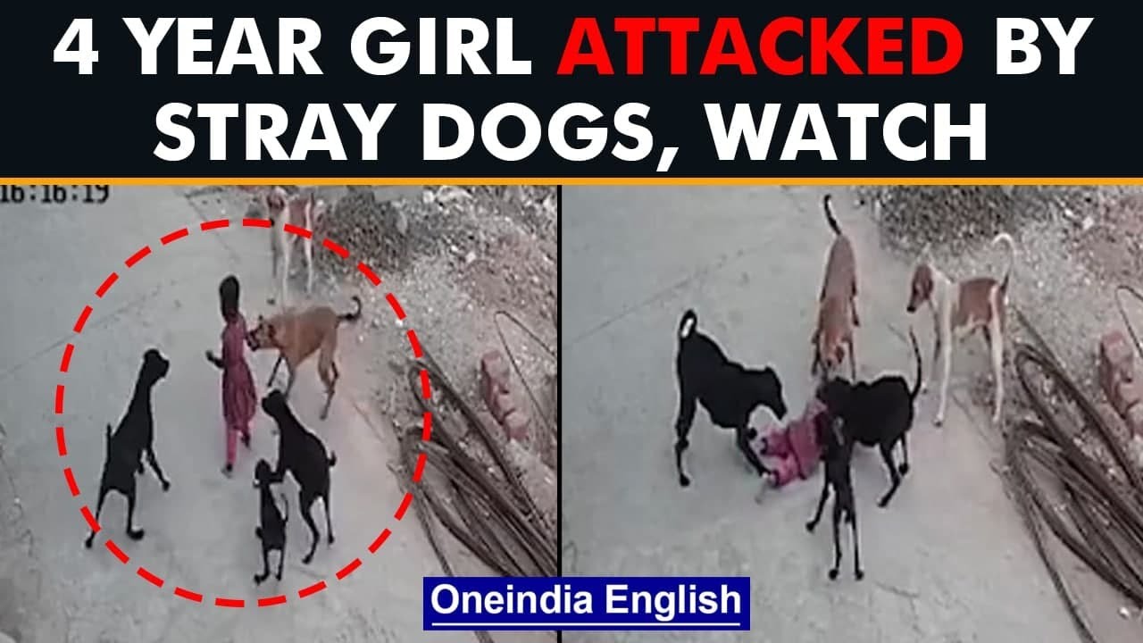 Bhopal: 4 year old attacked by stray dogs, incident caught on CCTV ...