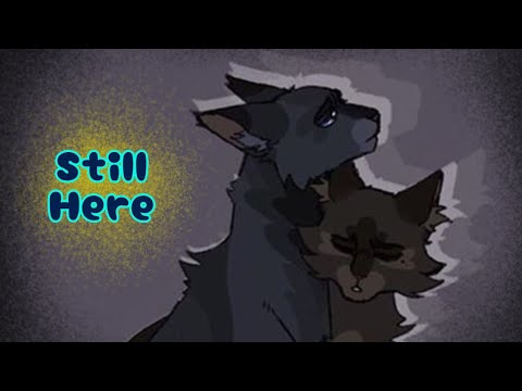 Crowfeather × Feathertail, Leafpool, Nightcloud ~ Still Here [Animator ...