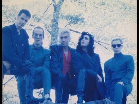 siouxsie and the banshees shadowtime subtitulada - YouTube