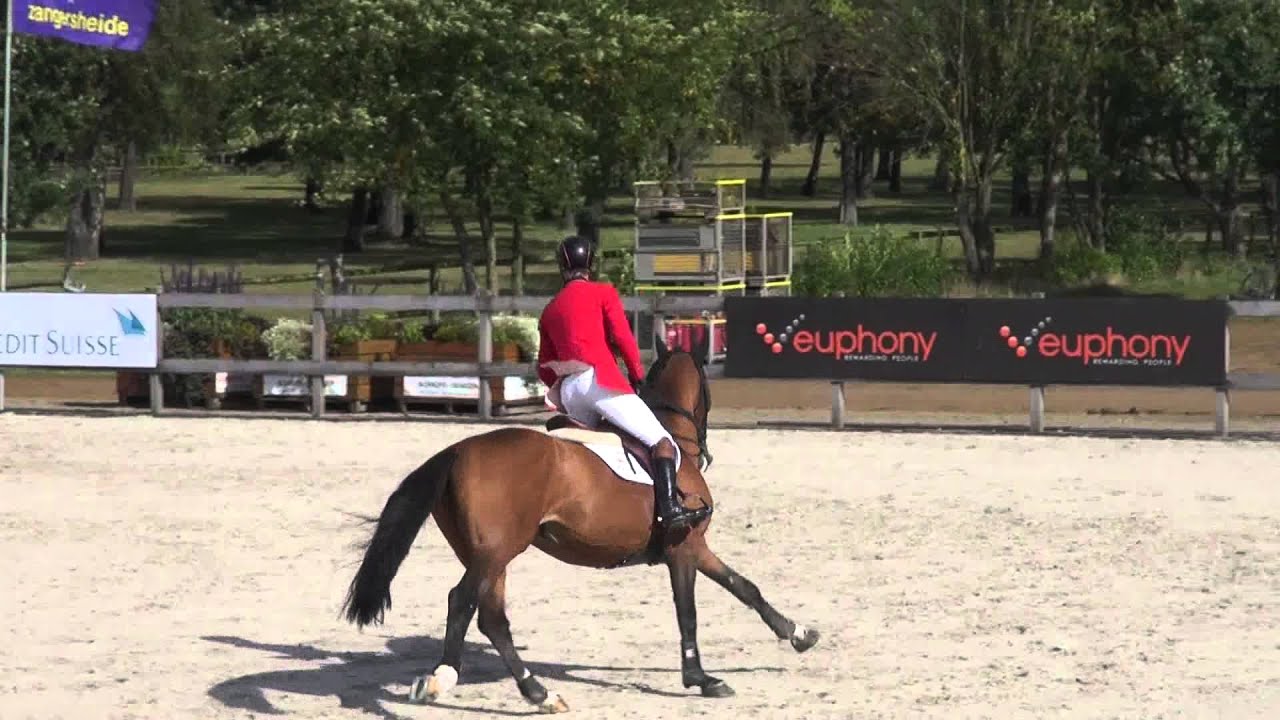 Bacardi VDL (webstallions.com) - YouTube