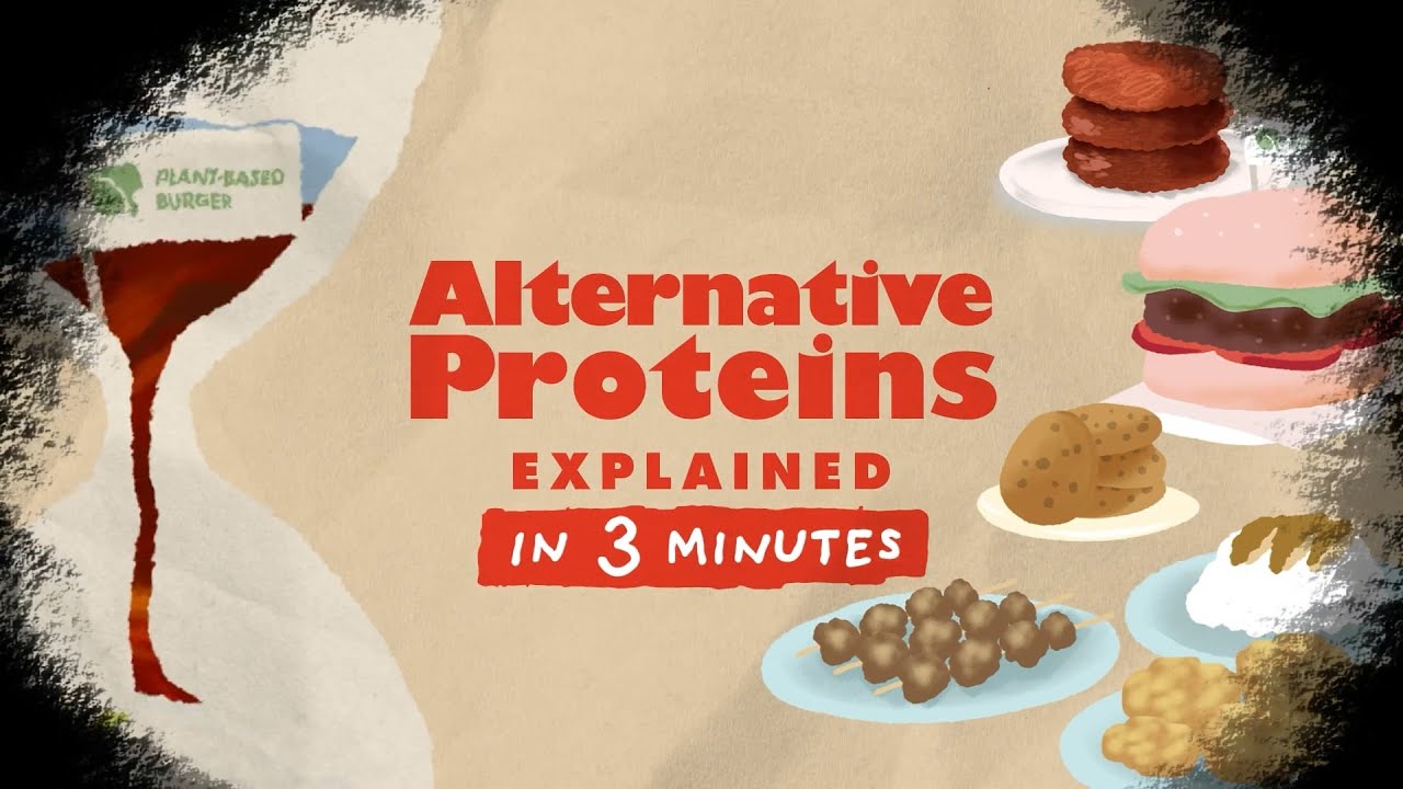 Alternative Proteins | Explained in 3 Minutes - YouTube