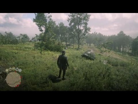 Red Dead Redemption 2 - How to pick Plants (Golden Currant) - YouTube
