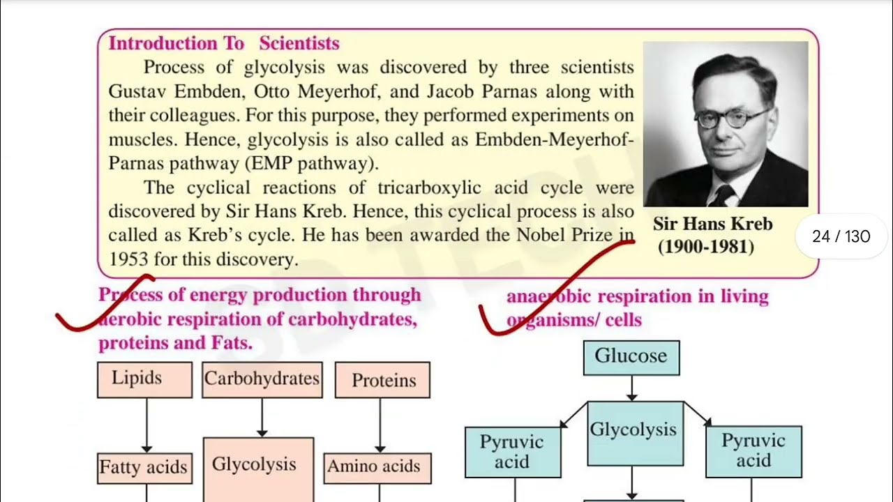 science 2 most guaranteed questions class 10 2025 | sd tech | 10 ...