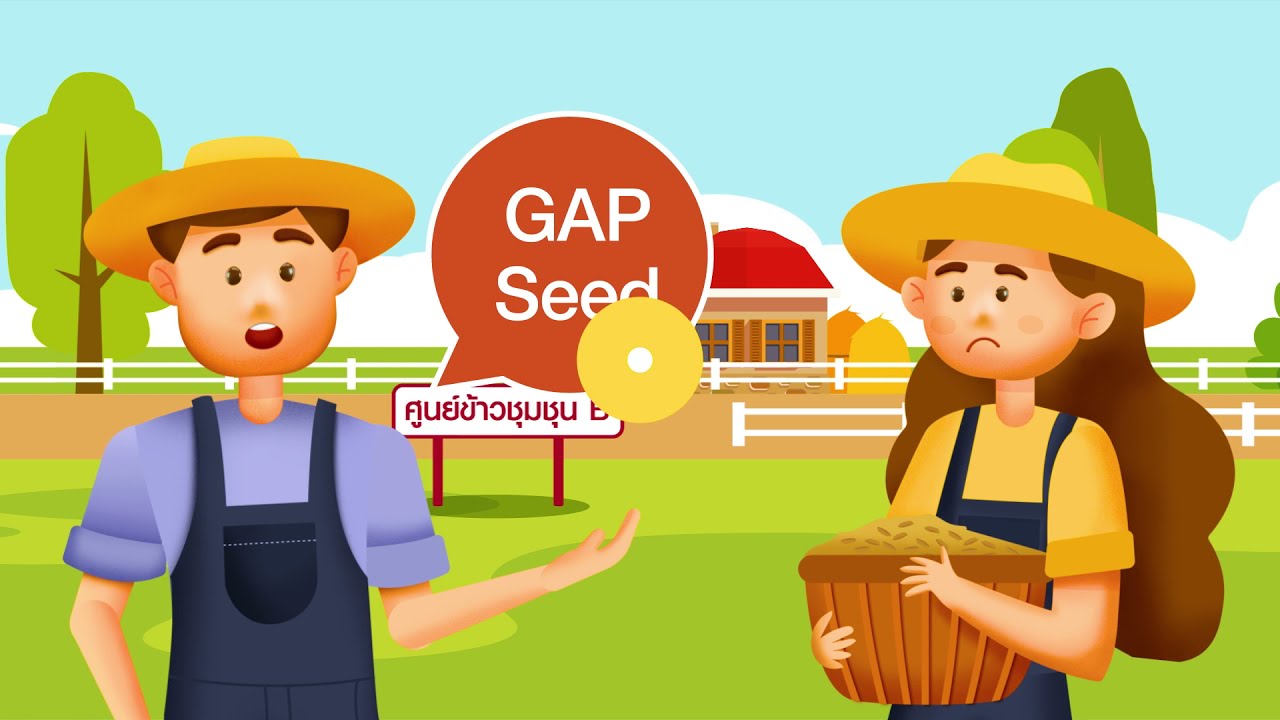 การตรวจรับรองระบบการผลิตเมล็ดพันธุ์ข้าว (GAP Seed) เพื่อรวบรวมและขาย ...