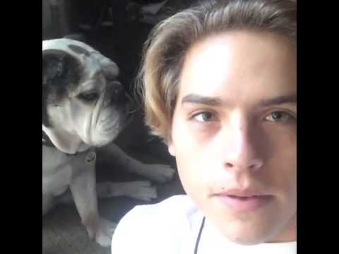 Dylan Sprouse being super cute with his dog Bubba. - YouTube