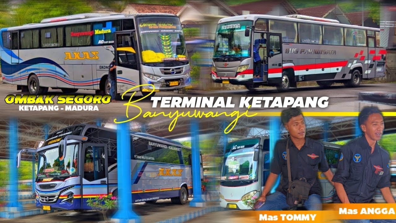 SANGAR🔥 Aktivitas Terminal KETAPANG full bus AKAS IV || 2024 - YouTube