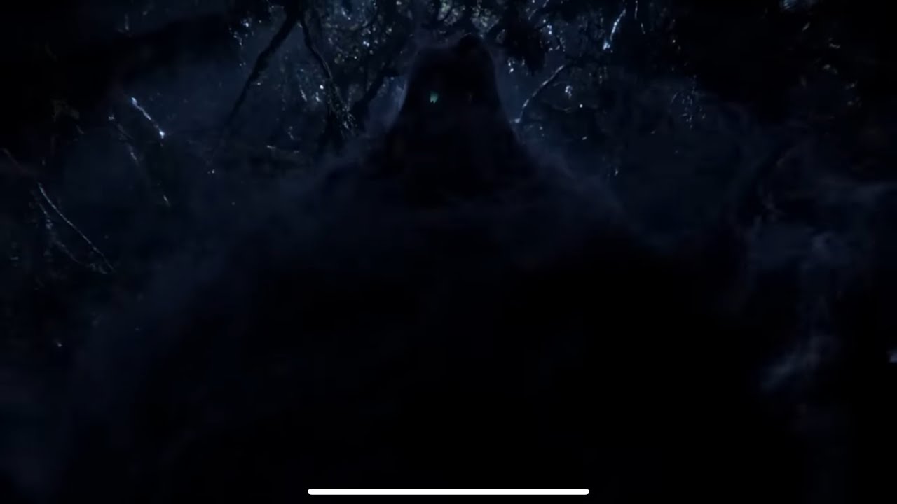 {Path Of The Exile 2} Saving The Hooded One - YouTube